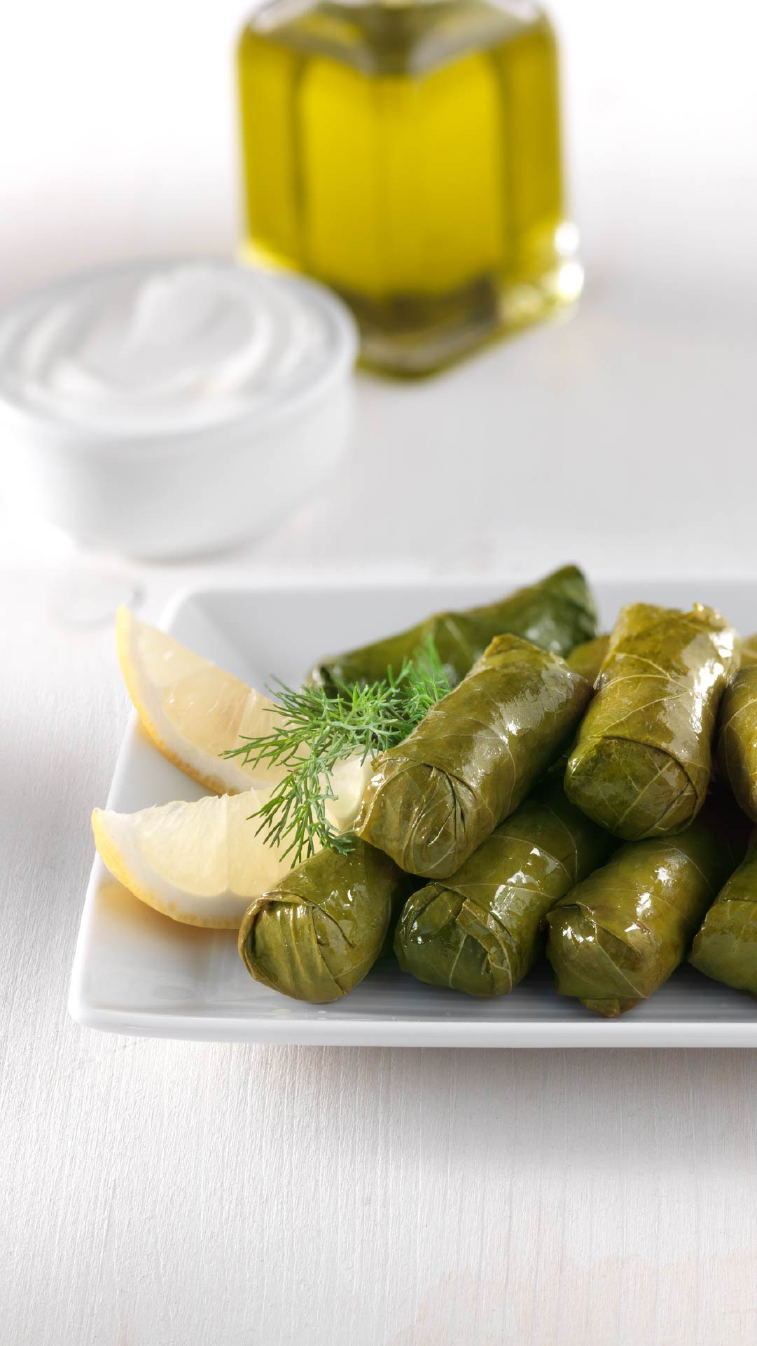 Μίνι Ντολμαδάκια Γιαλαντζί για επαγγελματίες - Paliria